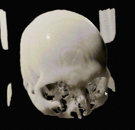 Bioxel Nodes Handbook